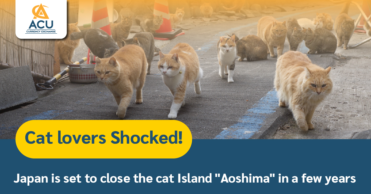 Cat lovers Shocked! Japan is set to close the cat Island "Aoshima" in a ...